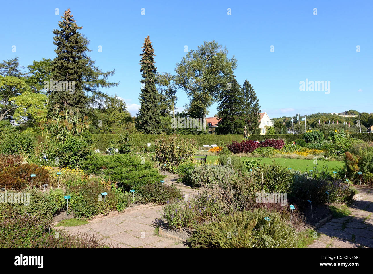Bergianska Tradgarden High Resolution Stock Photography and Images - Alamy