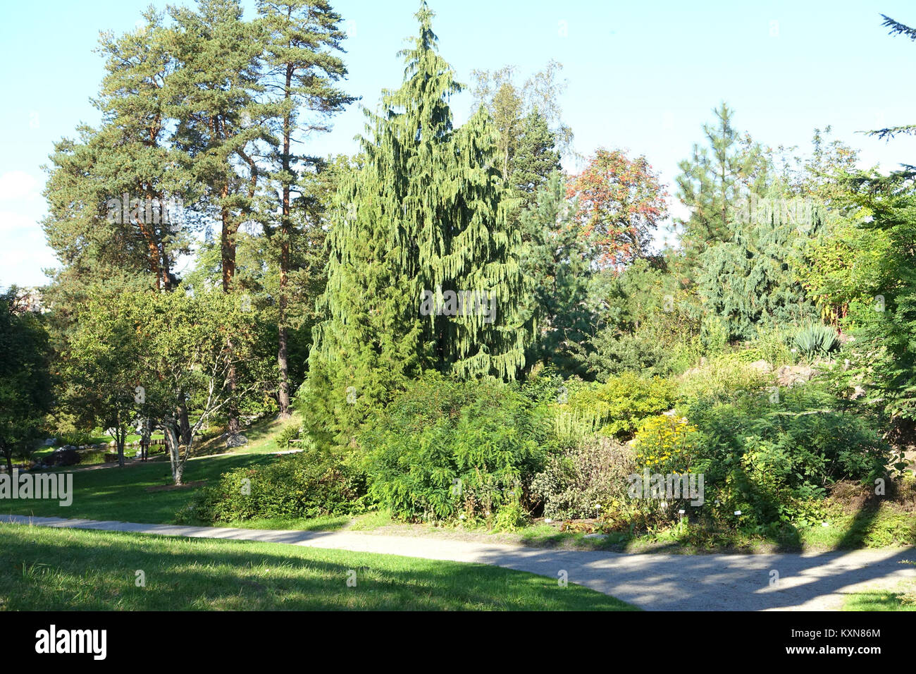 Bergianska tradgarden hi-res stock photography and images - Alamy