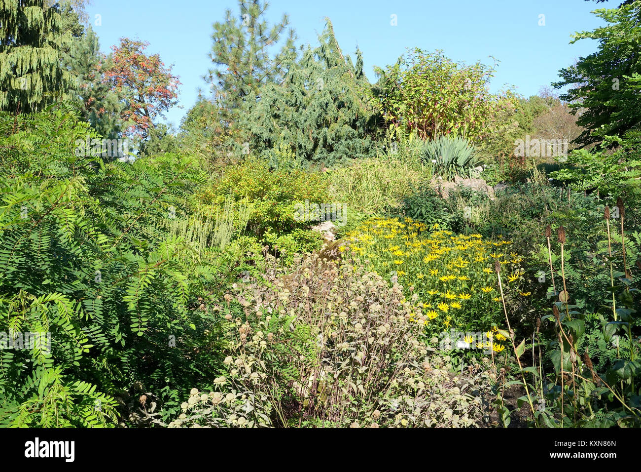 Bergianska Trädgården, also known as the Bergius Botanic Garden, is ...