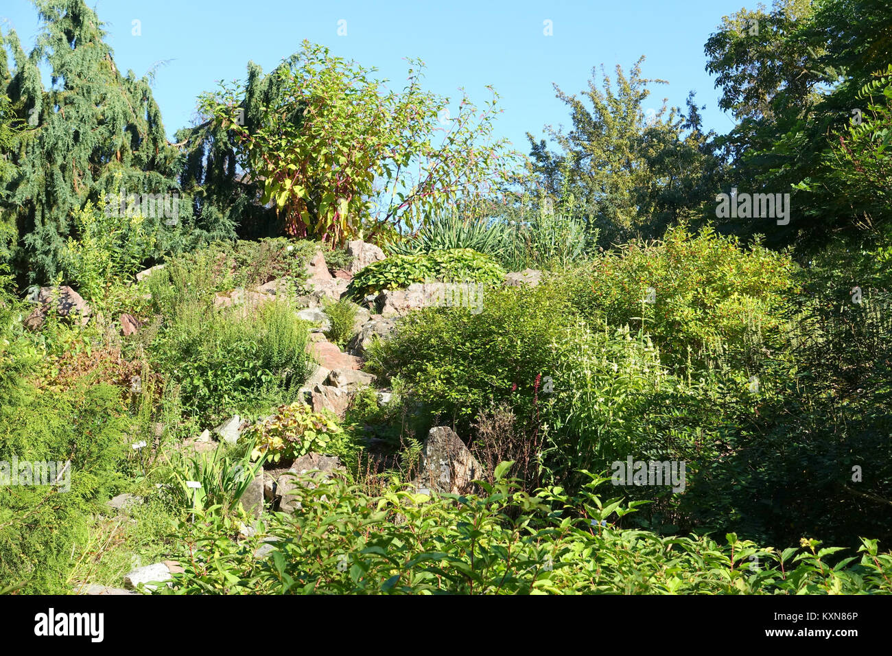 Bergianska tradgarden hi-res stock photography and images - Alamy