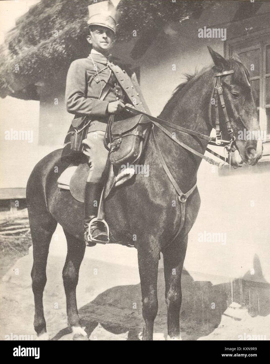 Boleslaw Swidzinski was a notable historical figure, recognized for his ...