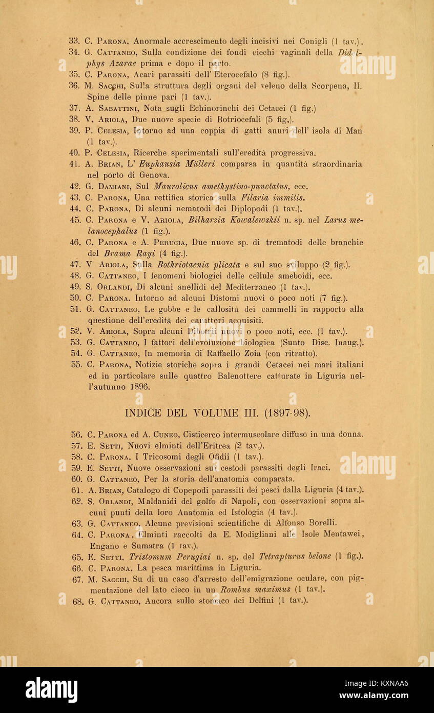 This title refers to a letter or communication from André Massena, a ...