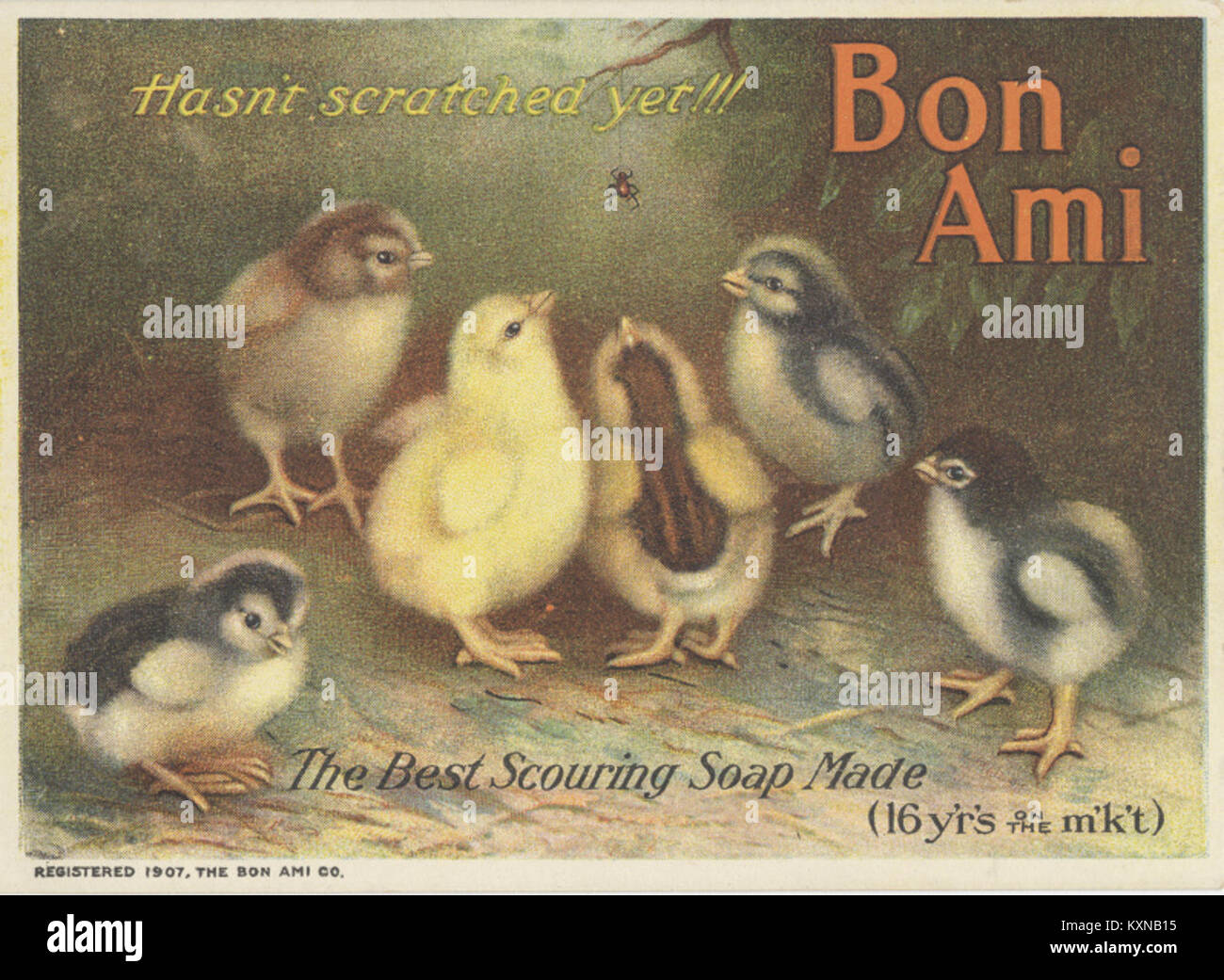 Bon ami company hi-res stock photography and images - Alamy
