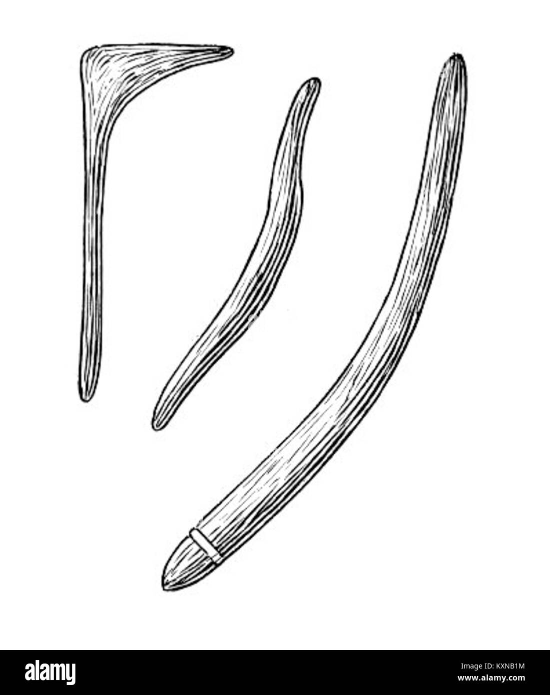 Boomerang2 (PSF) is a model of a modern boomerang, designed for ...