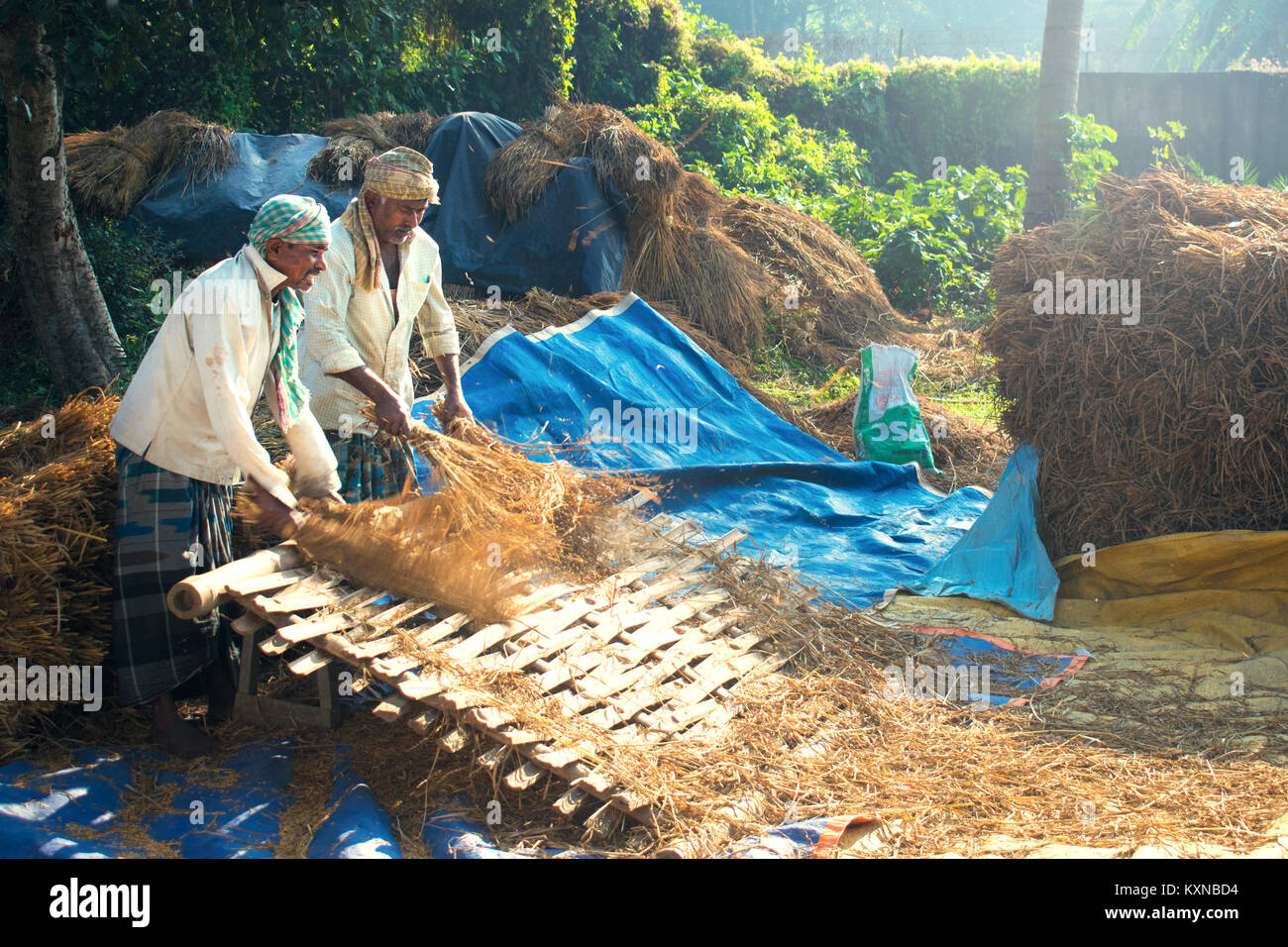 Rice cleaner hi-res stock photography and images - Alamy