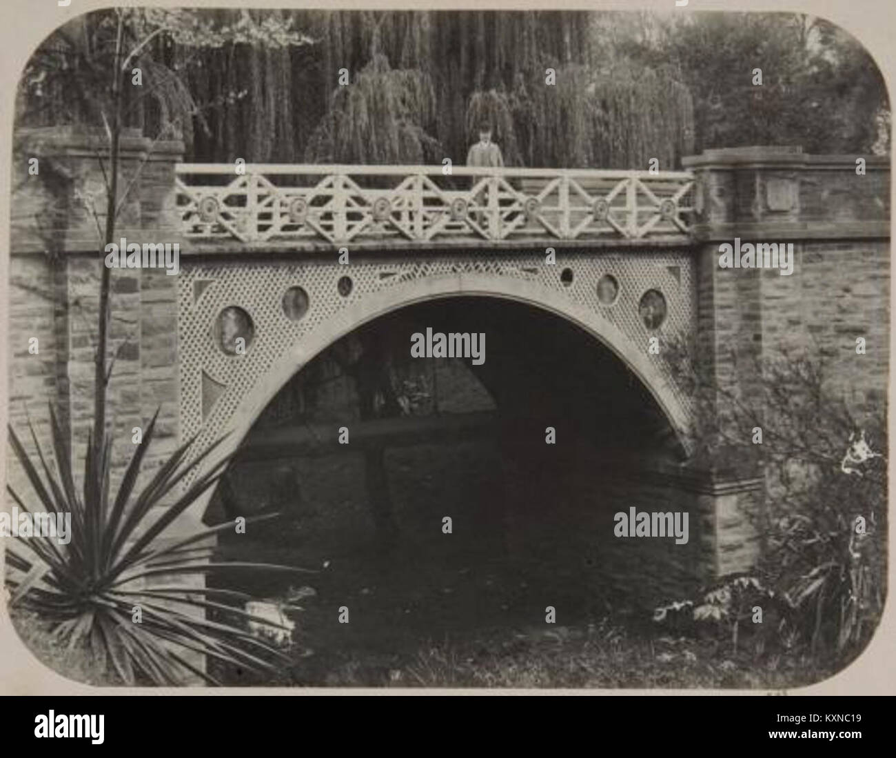Adelaide botanic gardens botanical hi-res stock photography and images ...