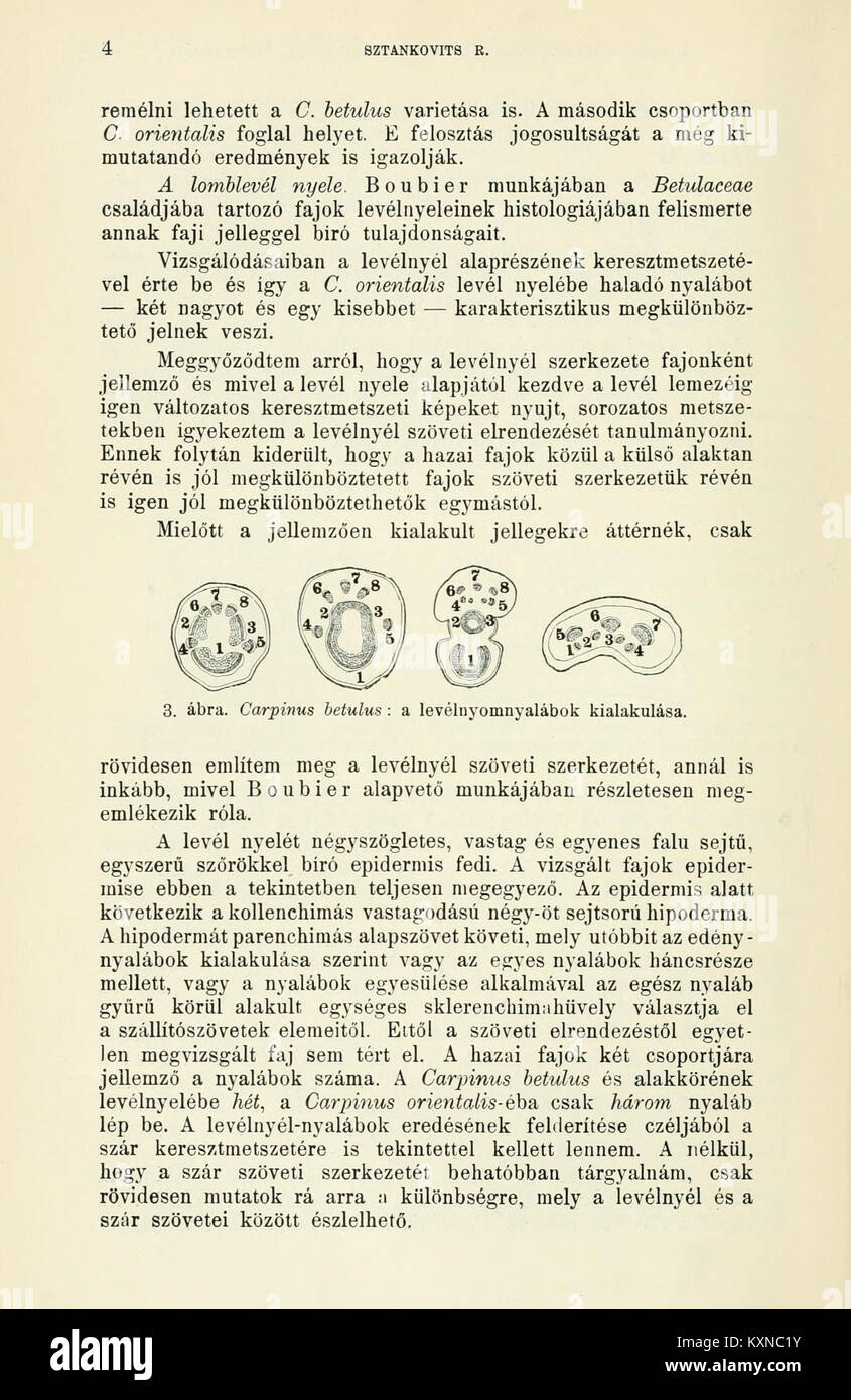 Visual documentation for scientific classification hi-res stock ...