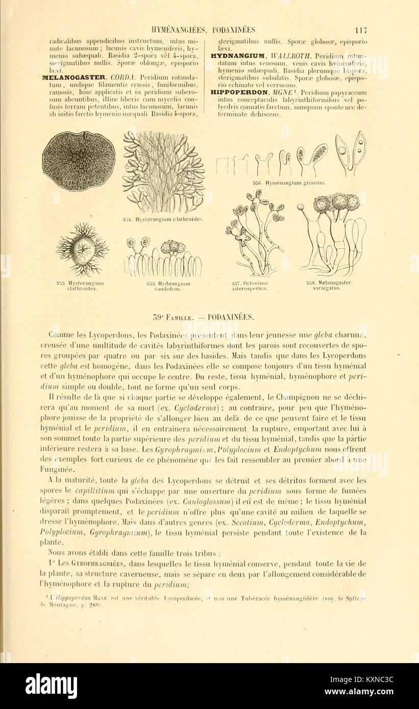 'Botanique cryptogamique' is a historical botanical work exploring the ...