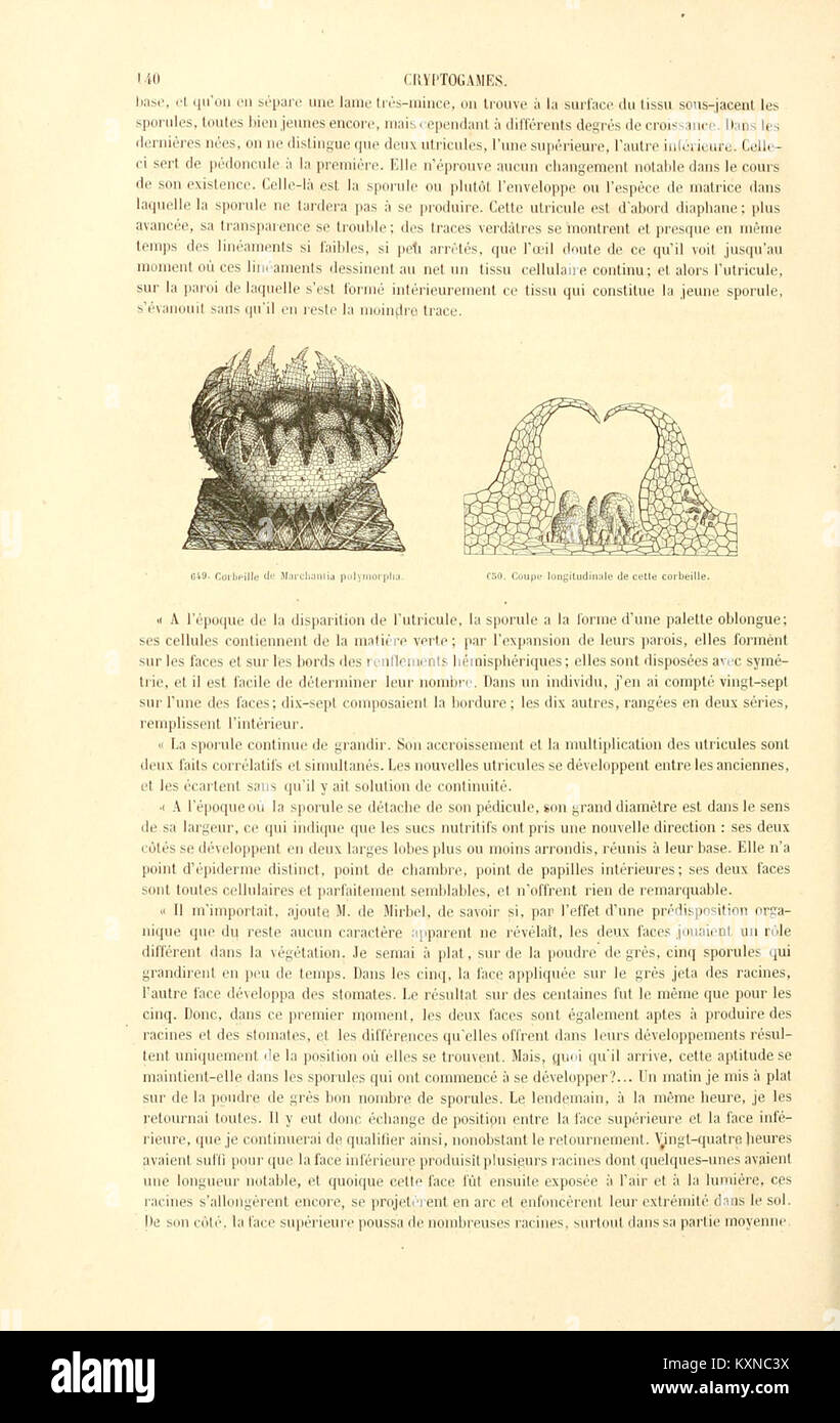 This page from 'Botanique cryptogamique' explores the natural families ...