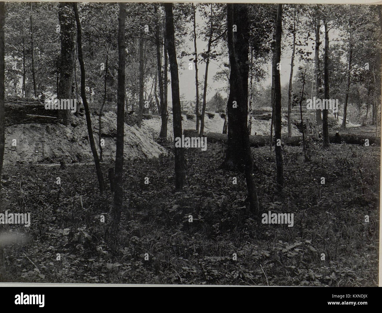 This photograph depicts the bridgehead near Romaniec, a strategic ...