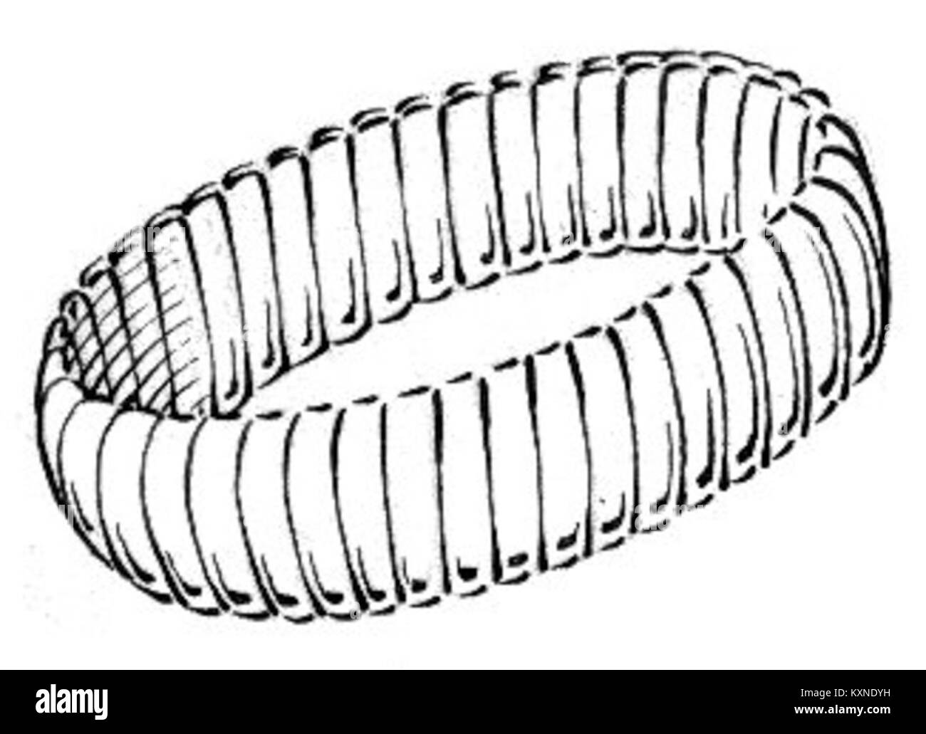 Braclet Black and White Stock Photos & Images - Alamy