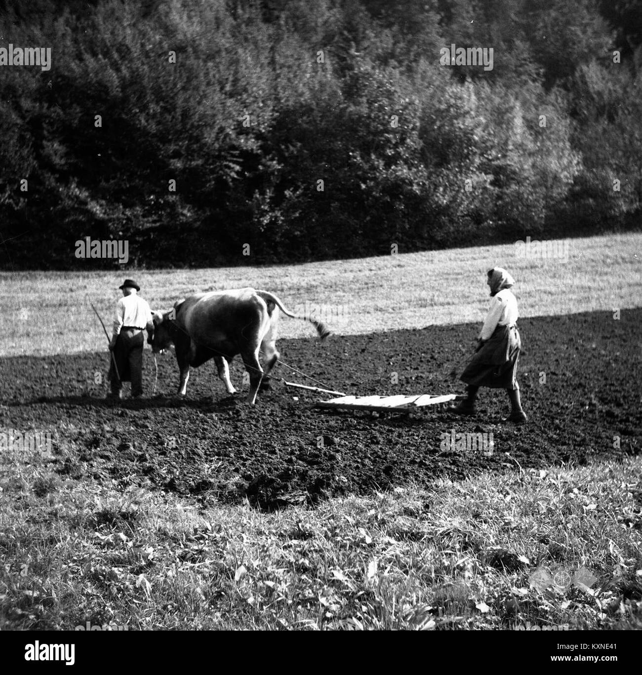 Brano hi-res stock photography and images - Alamy