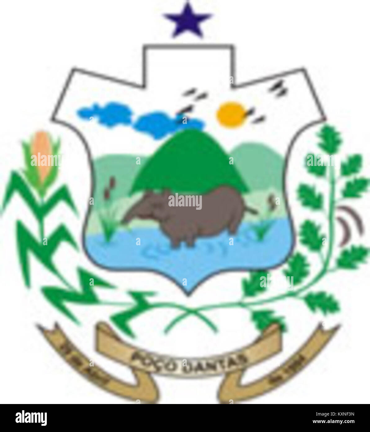 This coat of arms represents a family or regional identity, featuring ...