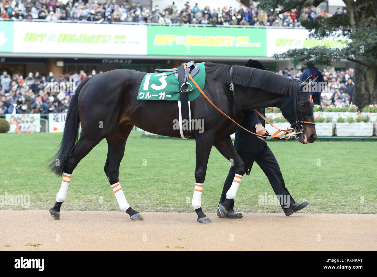 Kyoto, Japan. 6th Jan, 2018. Kluger Horse Racing : Kluger is led ...