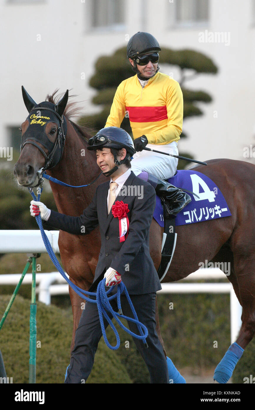 Take horse hi-res stock photography and images - Alamy