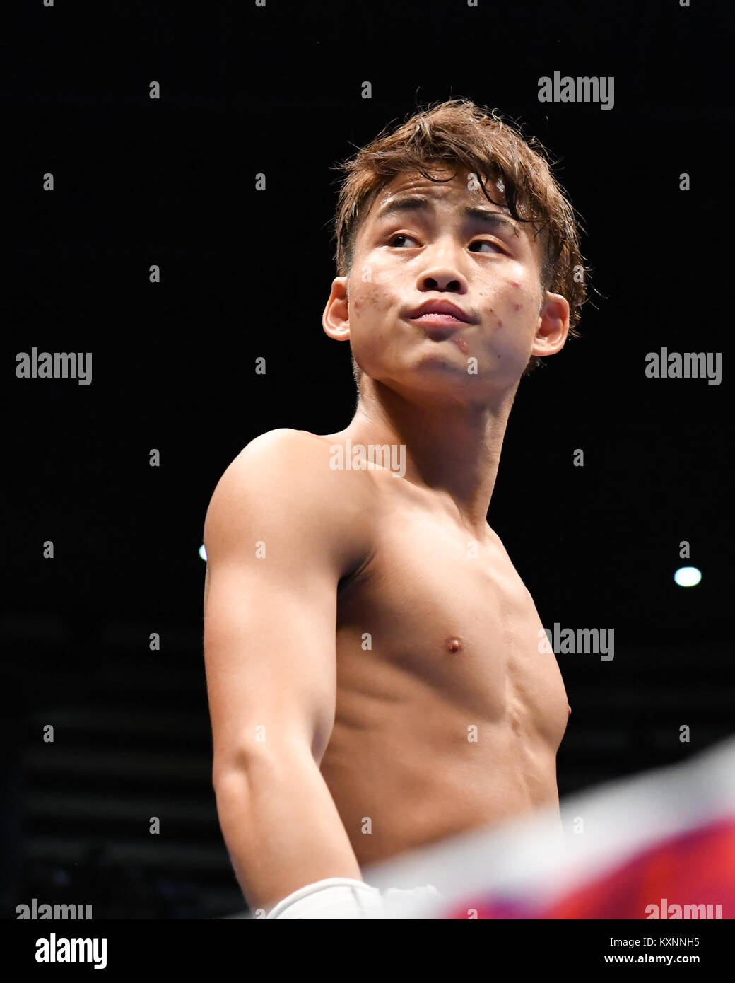 Tokyo, Japan. 31st Dec, 2017. Hiroto Kyoguchi (JPN) Boxing : Hiroto ...