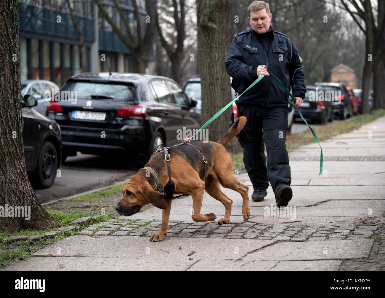 Dog handler Ralf Blechschmidt shows the abilities of bloodhound Hermine ...