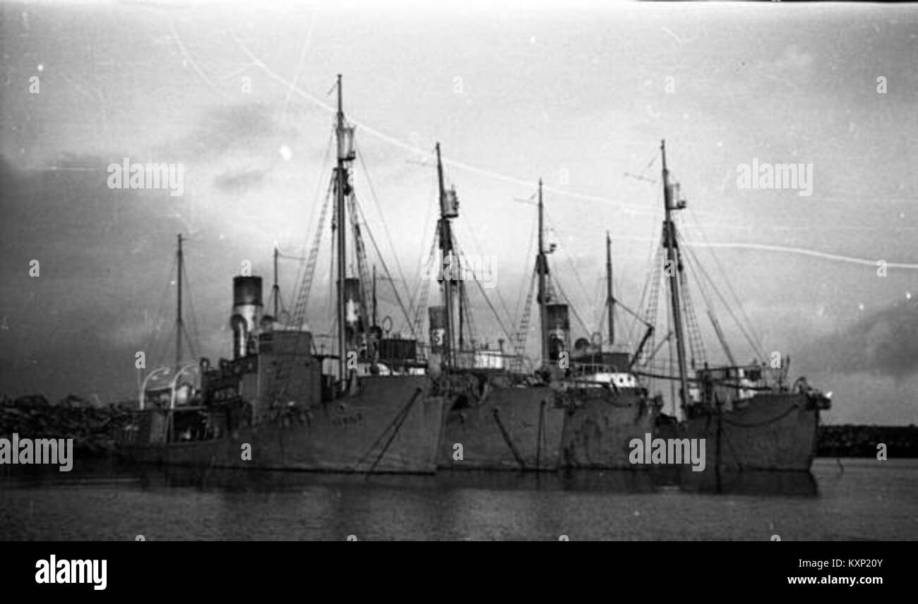 A 1938 photograph documenting the whale hunting fleet of the ...
