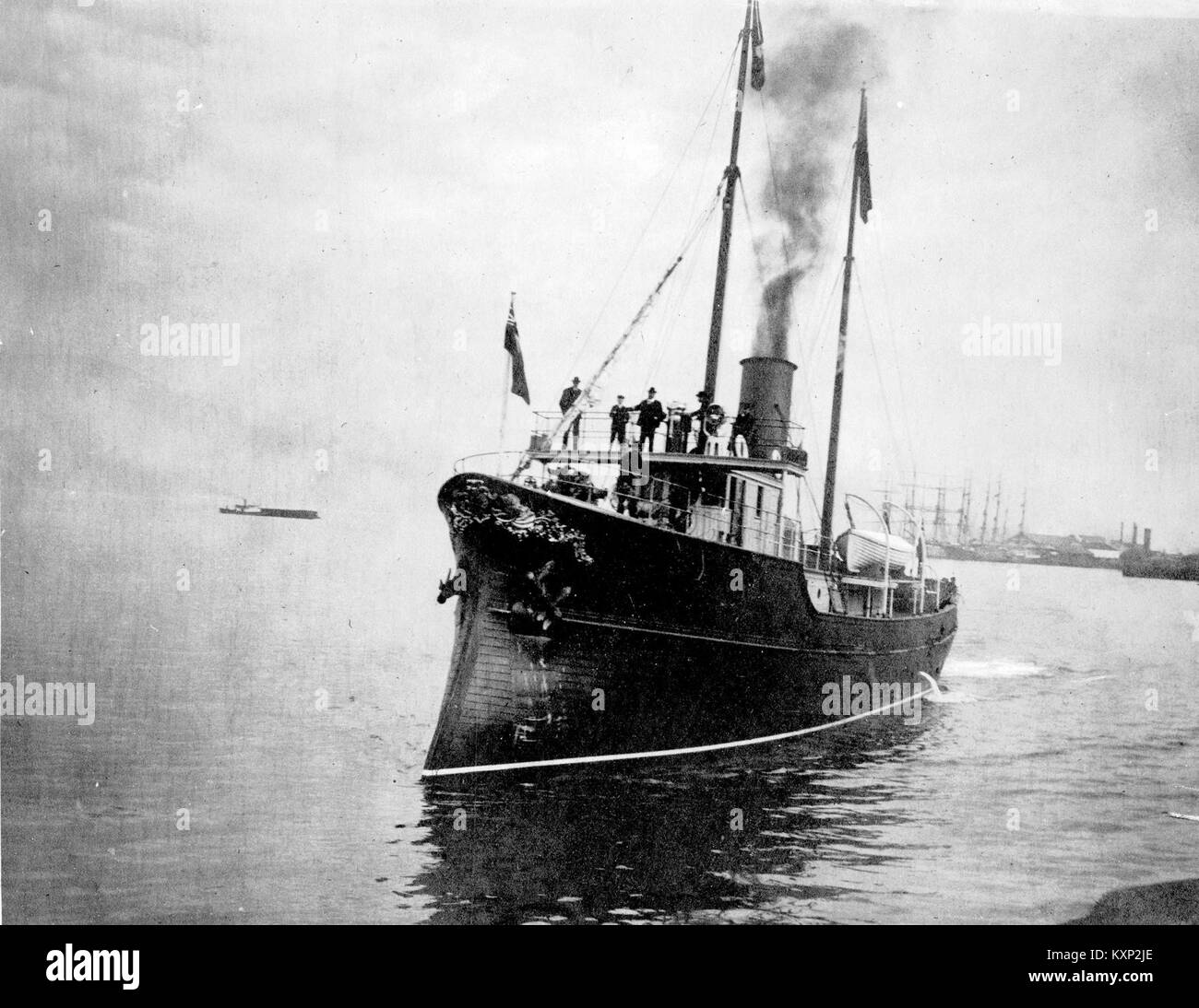 Kestrel illustration Black and White Stock Photos & Images - Alamy