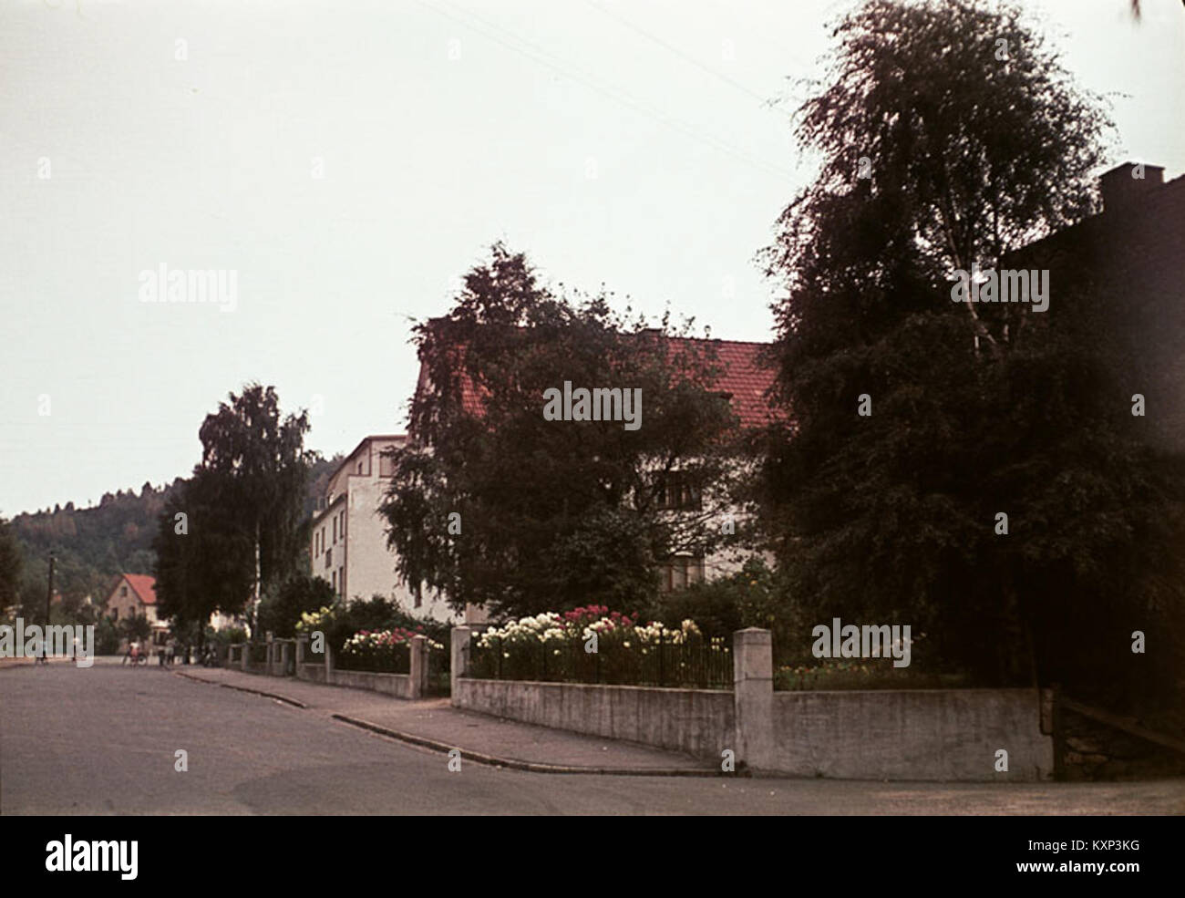 A reference number for a document or item, identified as Bor,s - KMB - 16001000237547. This ...