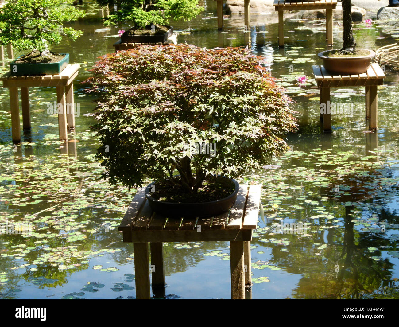 Jardin albert kahn hi-res stock photography and images - Alamy