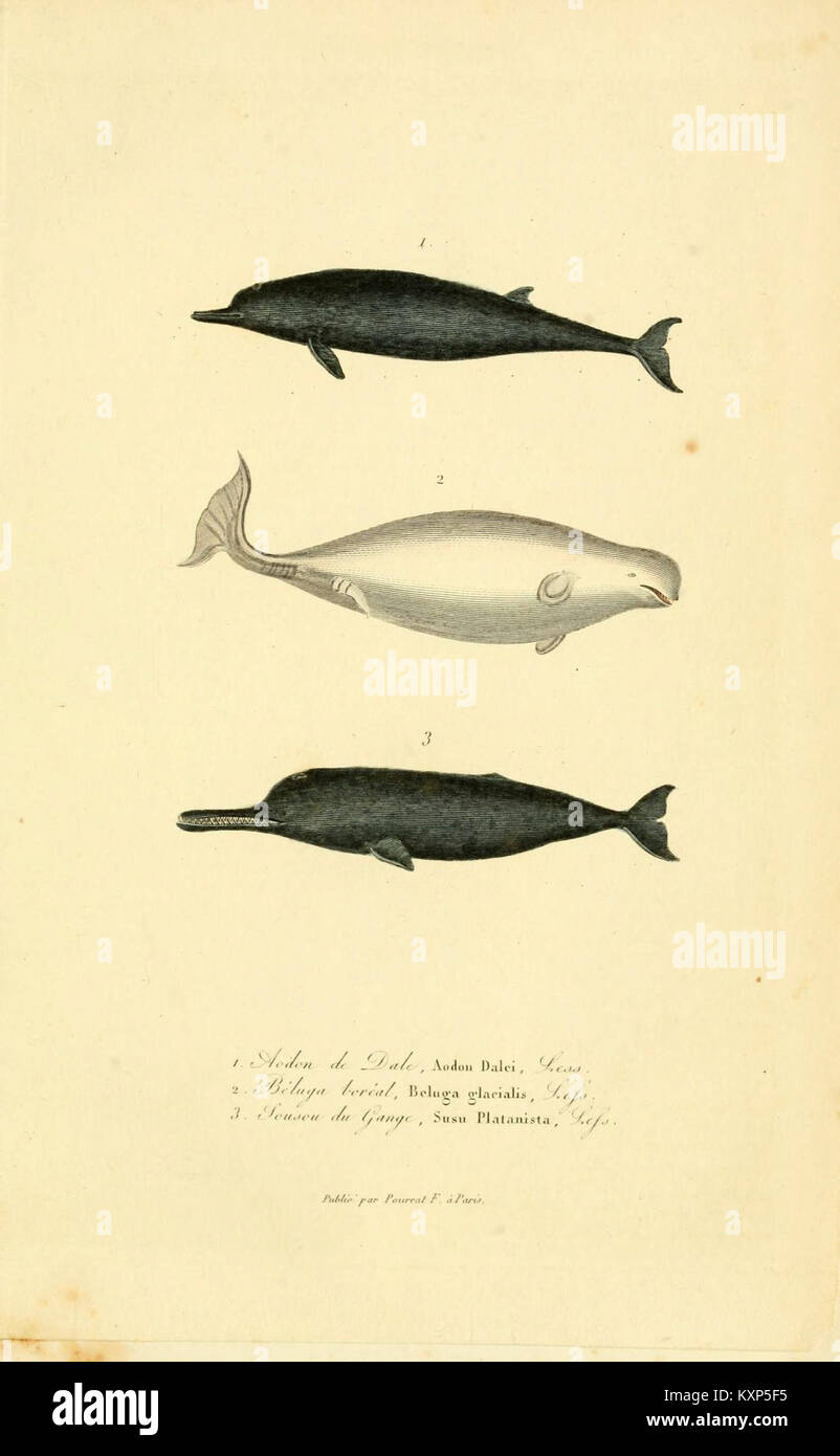 Europeanobservationrecord hi-res stock photography and images - Alamy