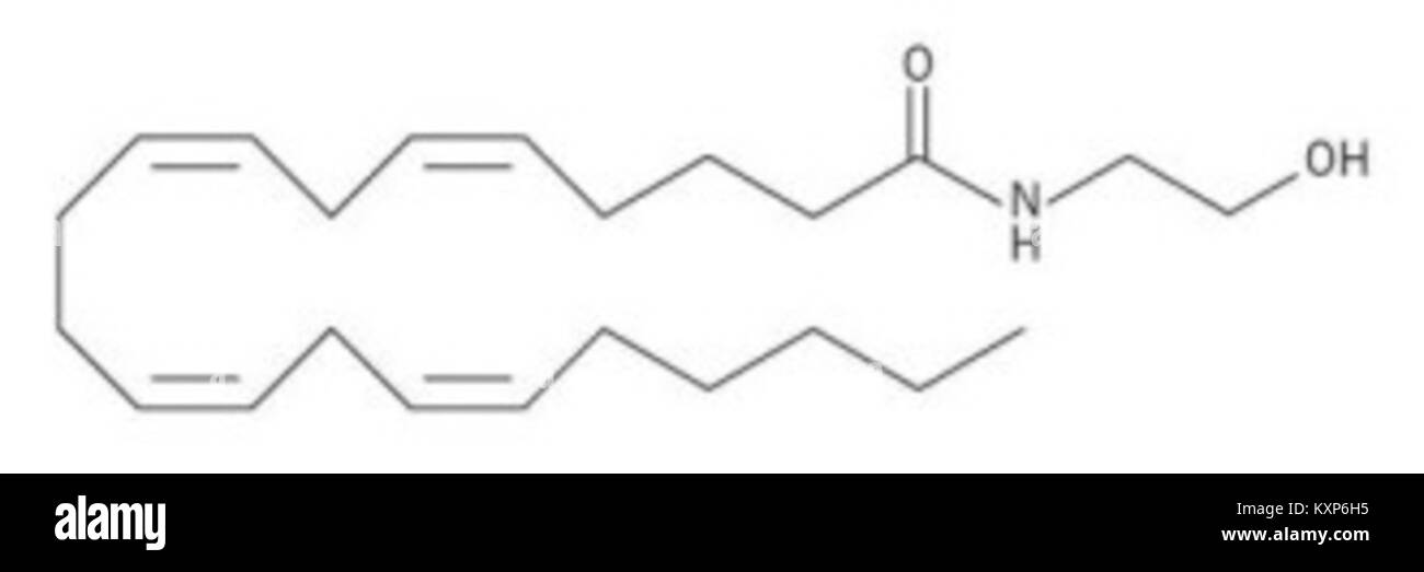 This represents the molecular structure of N-Arachidonoylethanolamine ...