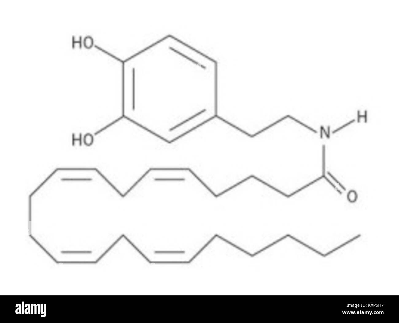 Dopamine Lewis Structure Dopamine