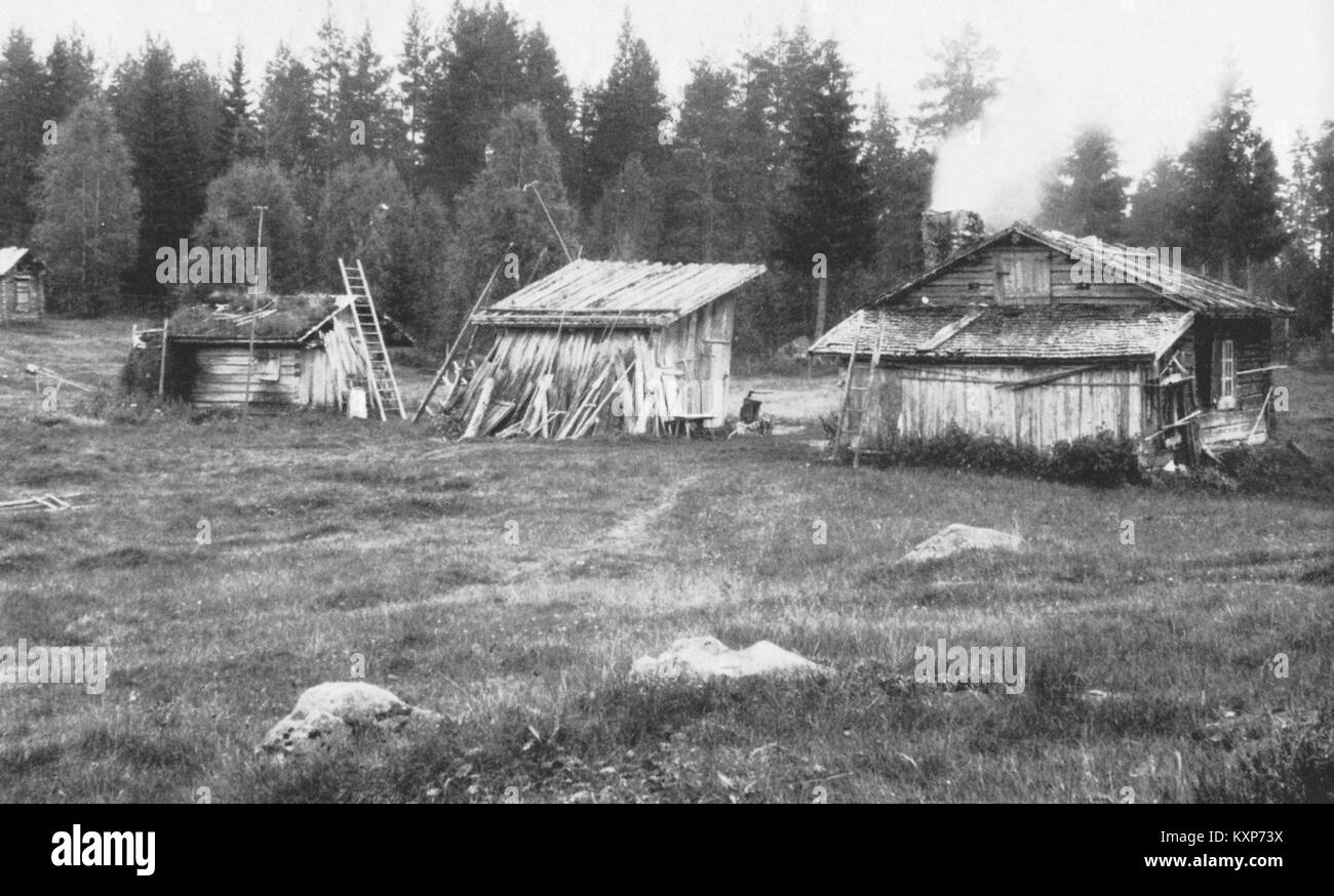 Bränntjärnstorpet was a rural homestead in Sweden, depicted in a 1923 ...