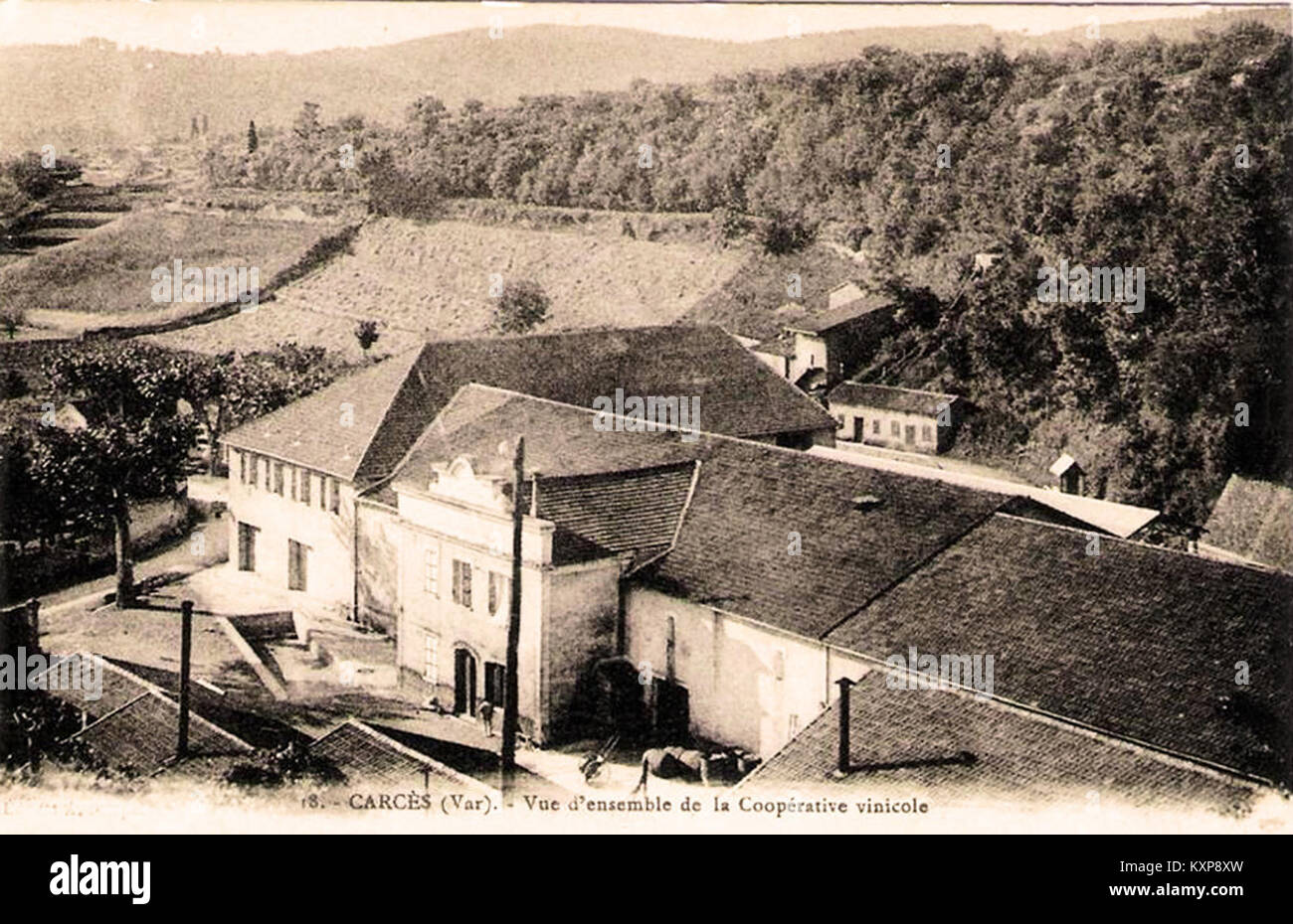 The Carcès Cooperative Vinicole is a wine cooperative known for its ...