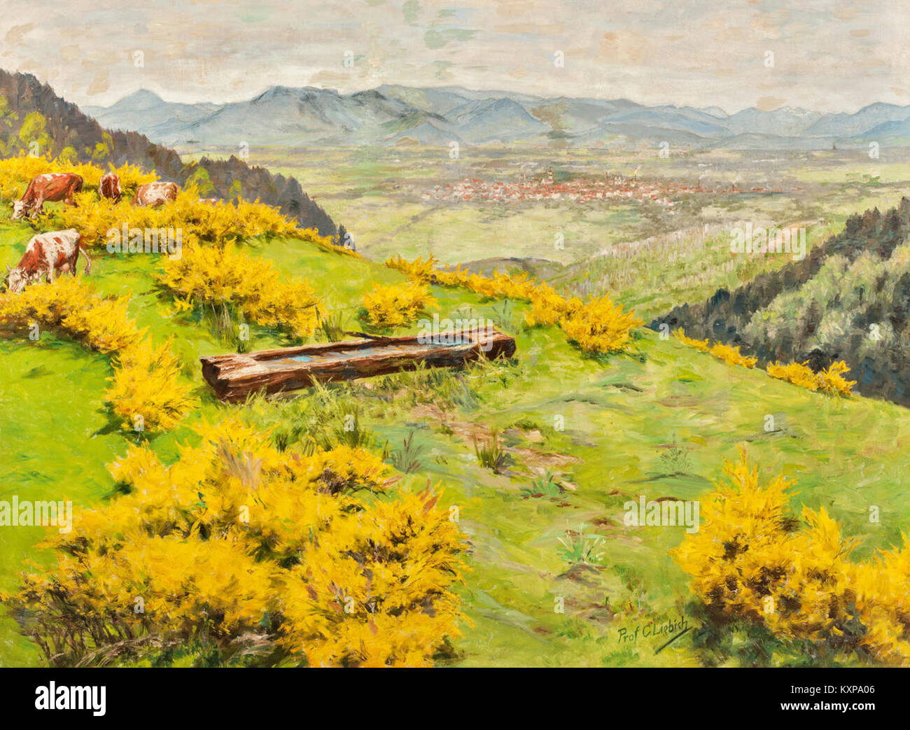 Liebich hi-res stock photography and images - Alamy