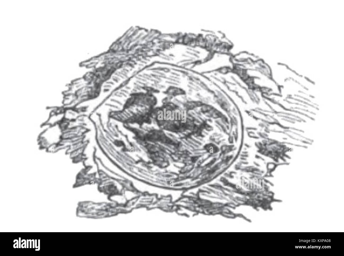 Plug lid Cut Out Stock Images & Pictures - Alamy