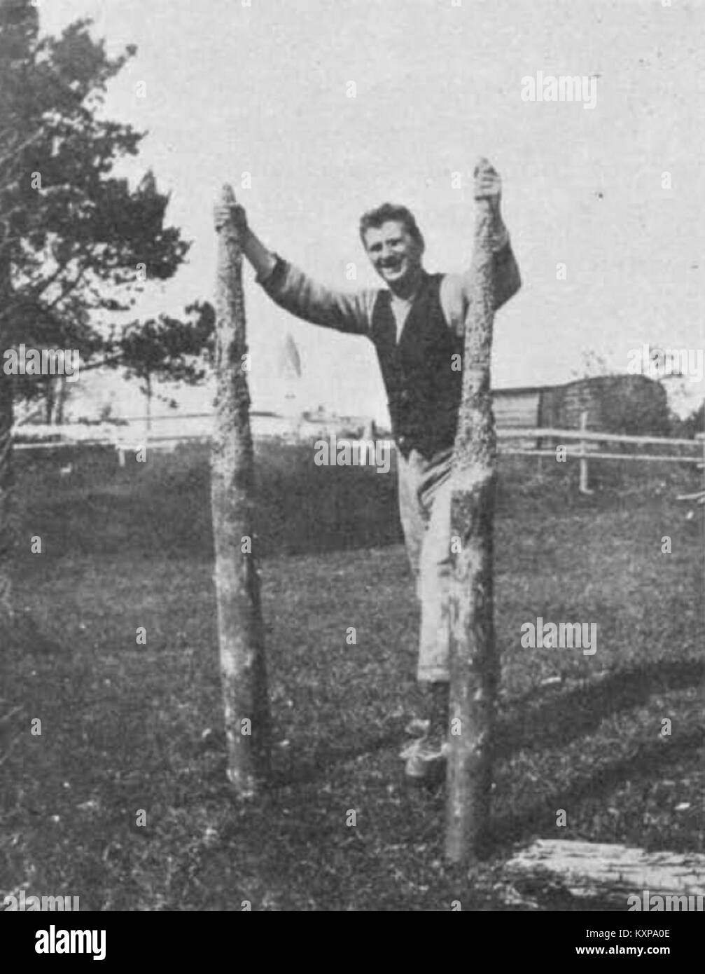 Photograph of wooden pilings from a palisade structure dated 1923 ...