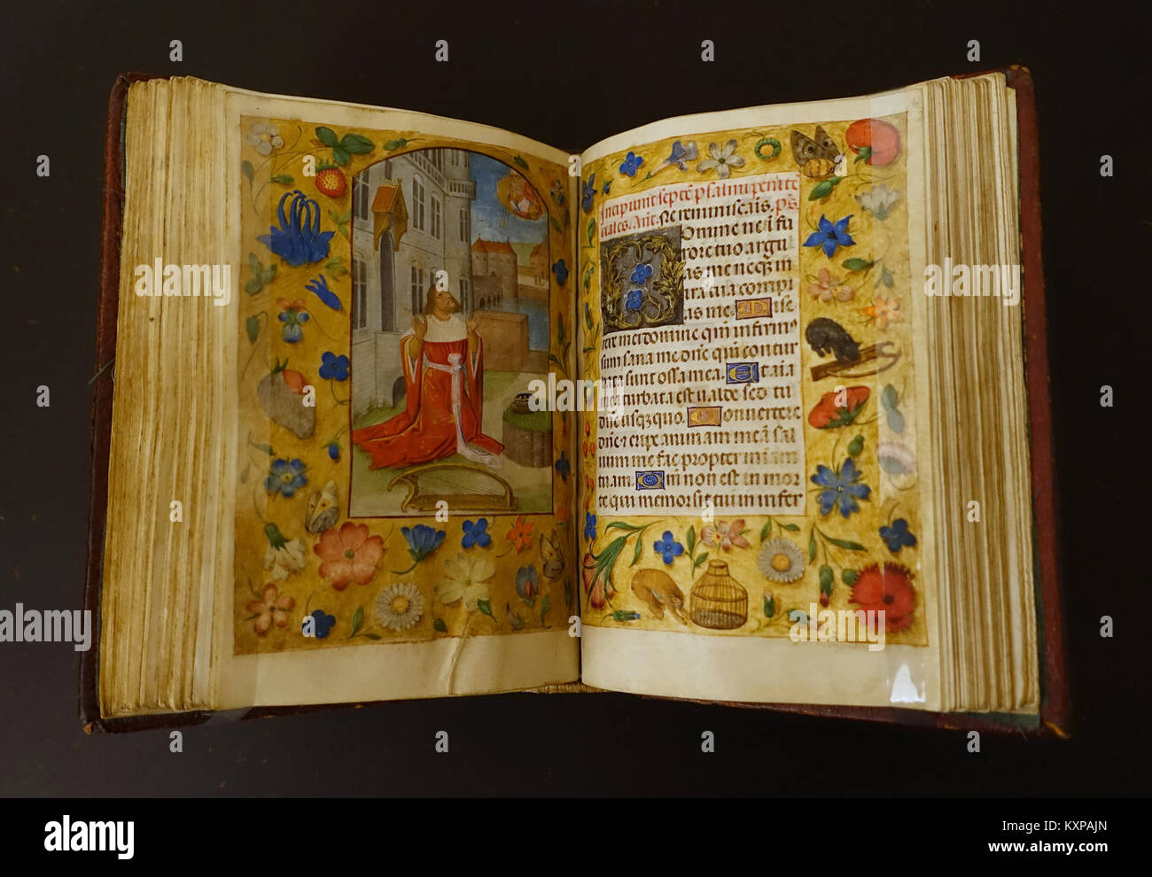 Parchment binding hi-res stock photography and images - Alamy