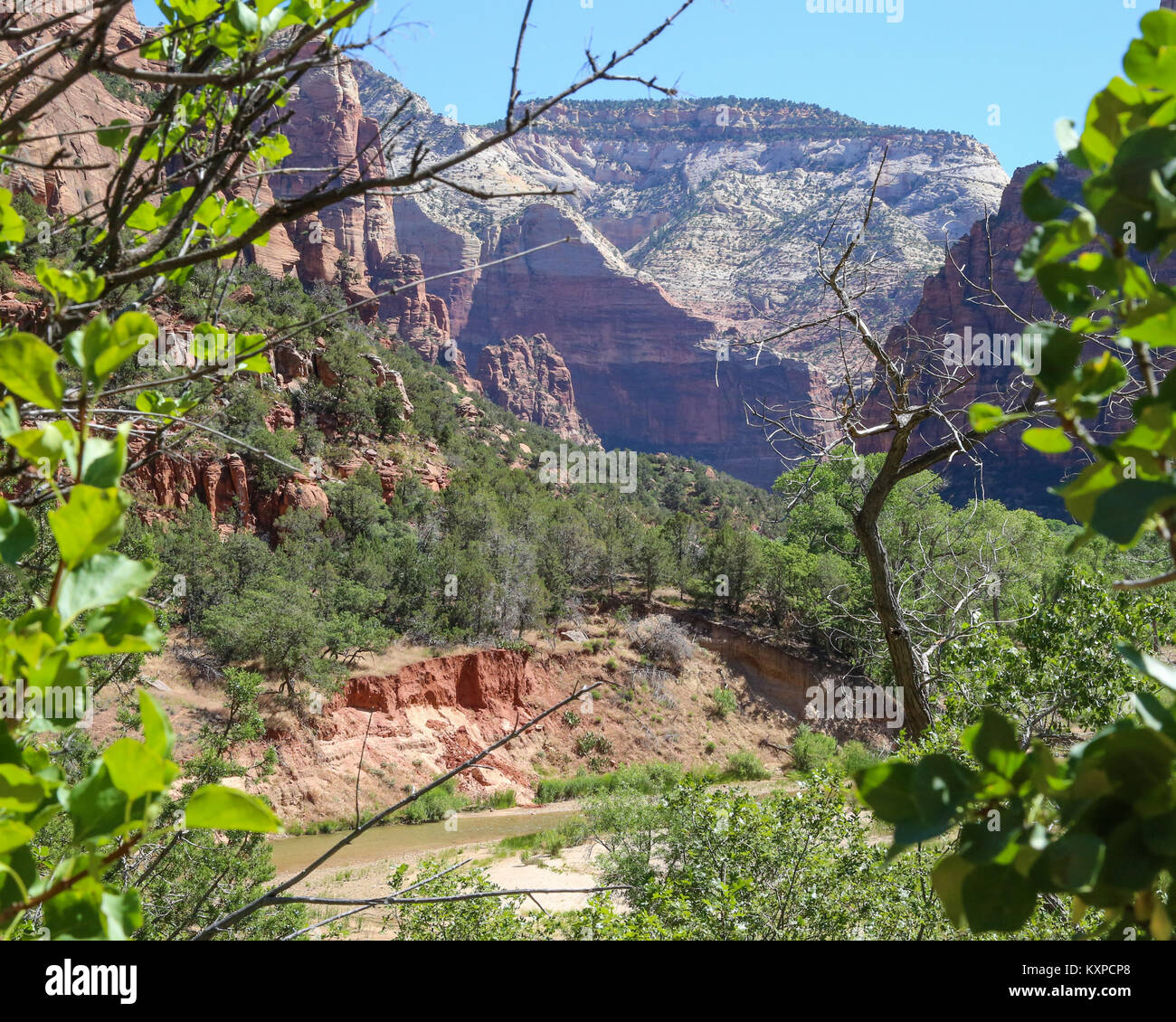 A scene by the Lower Emerald pools Walk in Zion Canyon Stock Photo - Alamy