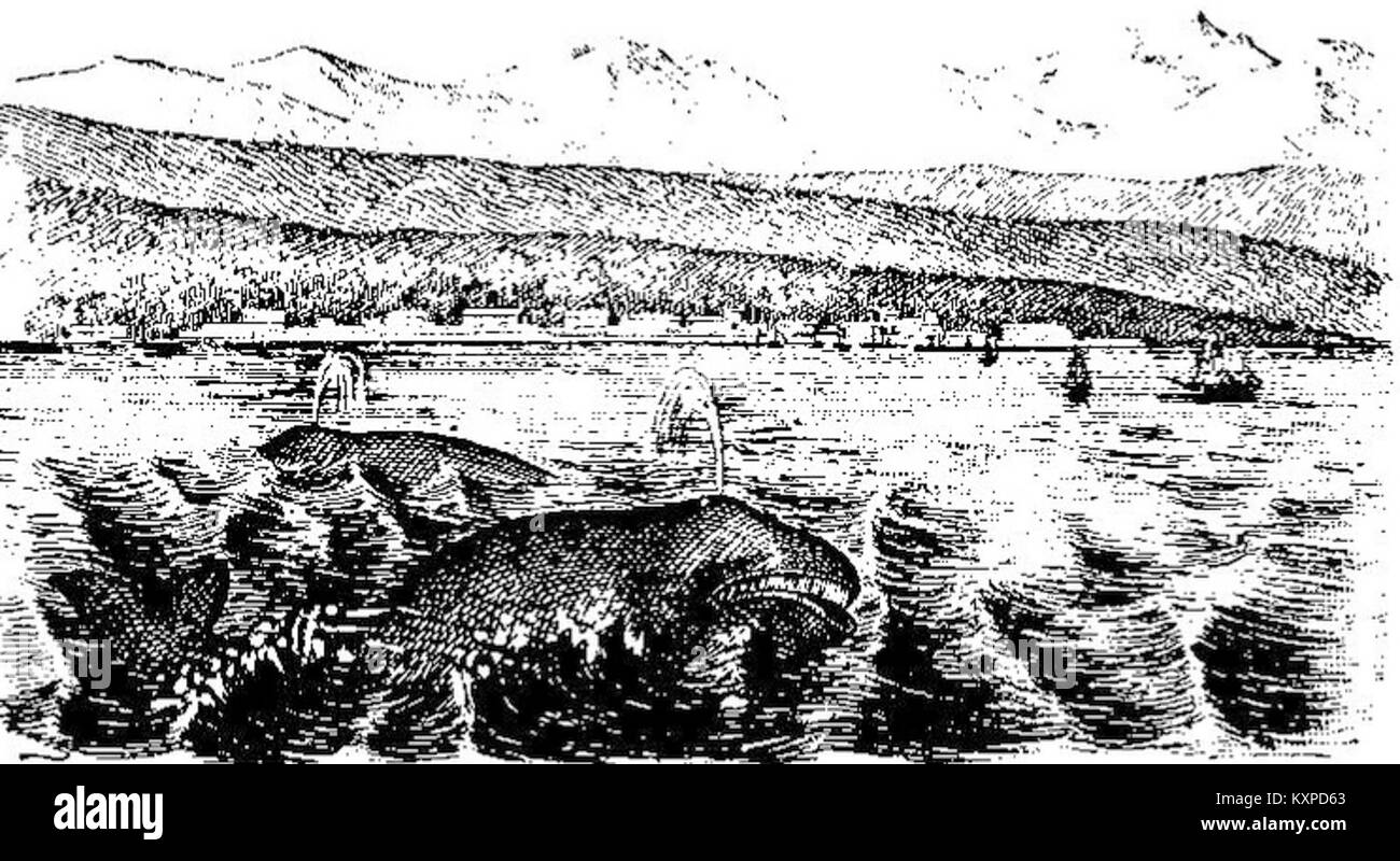 This illustration from 'En el Mar Austral' by Jose Seferino Alvarez ...