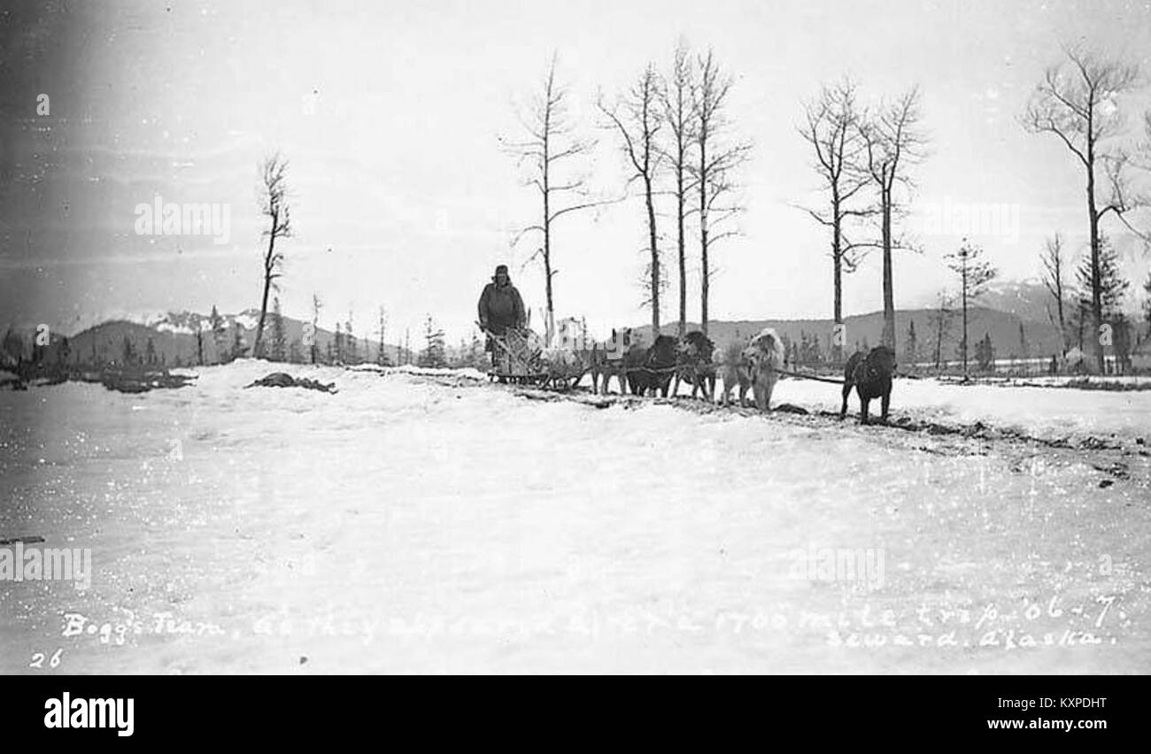 This photograph shows Boggs and his dogsled team after completing a ...