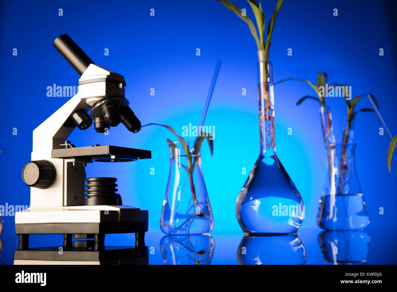 Biotechnology theme. Laboratory concept. Beakers and test-tubes. Blue ...