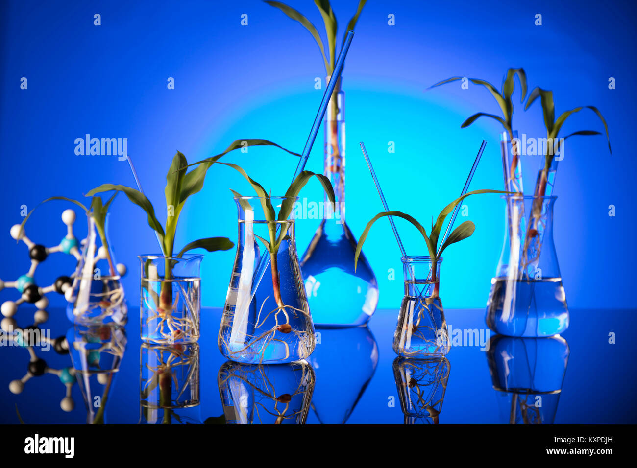 Biotechnology theme. Laboratory concept. Beakers and test-tubes. Blue ...