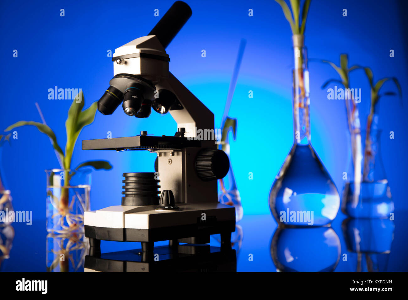 Biotechnology theme. Laboratory concept. Beakers and test-tubes. Blue ...