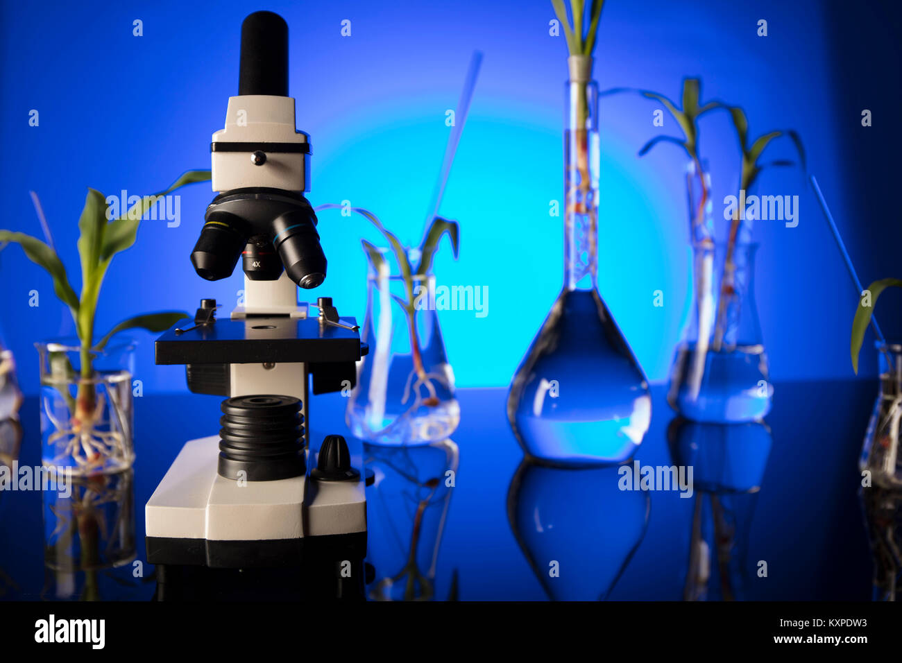 Biotechnology theme. Laboratory concept. Beakers and test-tubes. Blue ...