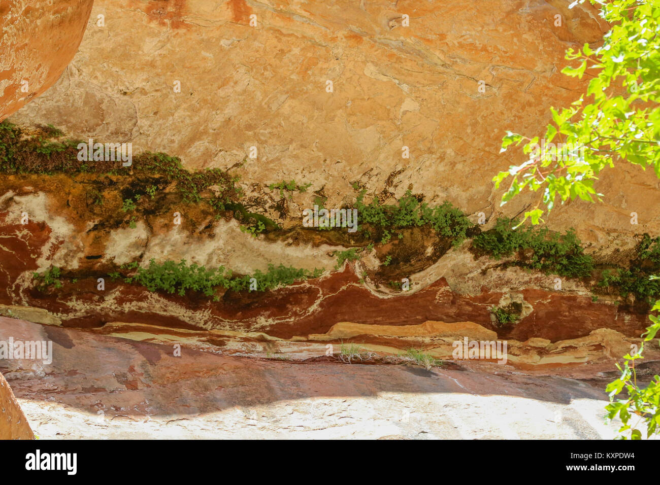 Wet sandstone hi-res stock photography and images - Alamy