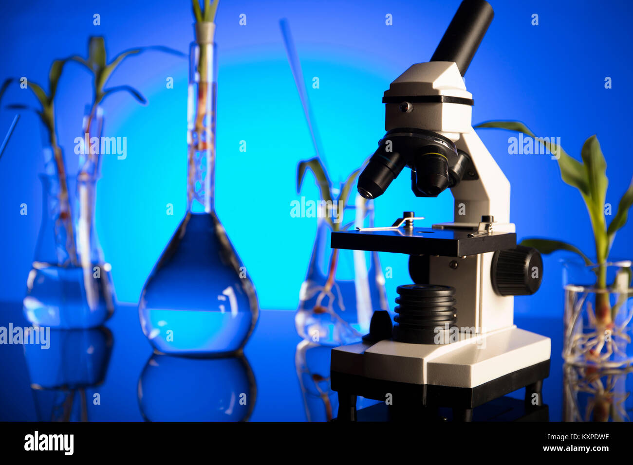 Biotechnology theme. Laboratory concept. Beakers and test-tubes. Blue ...