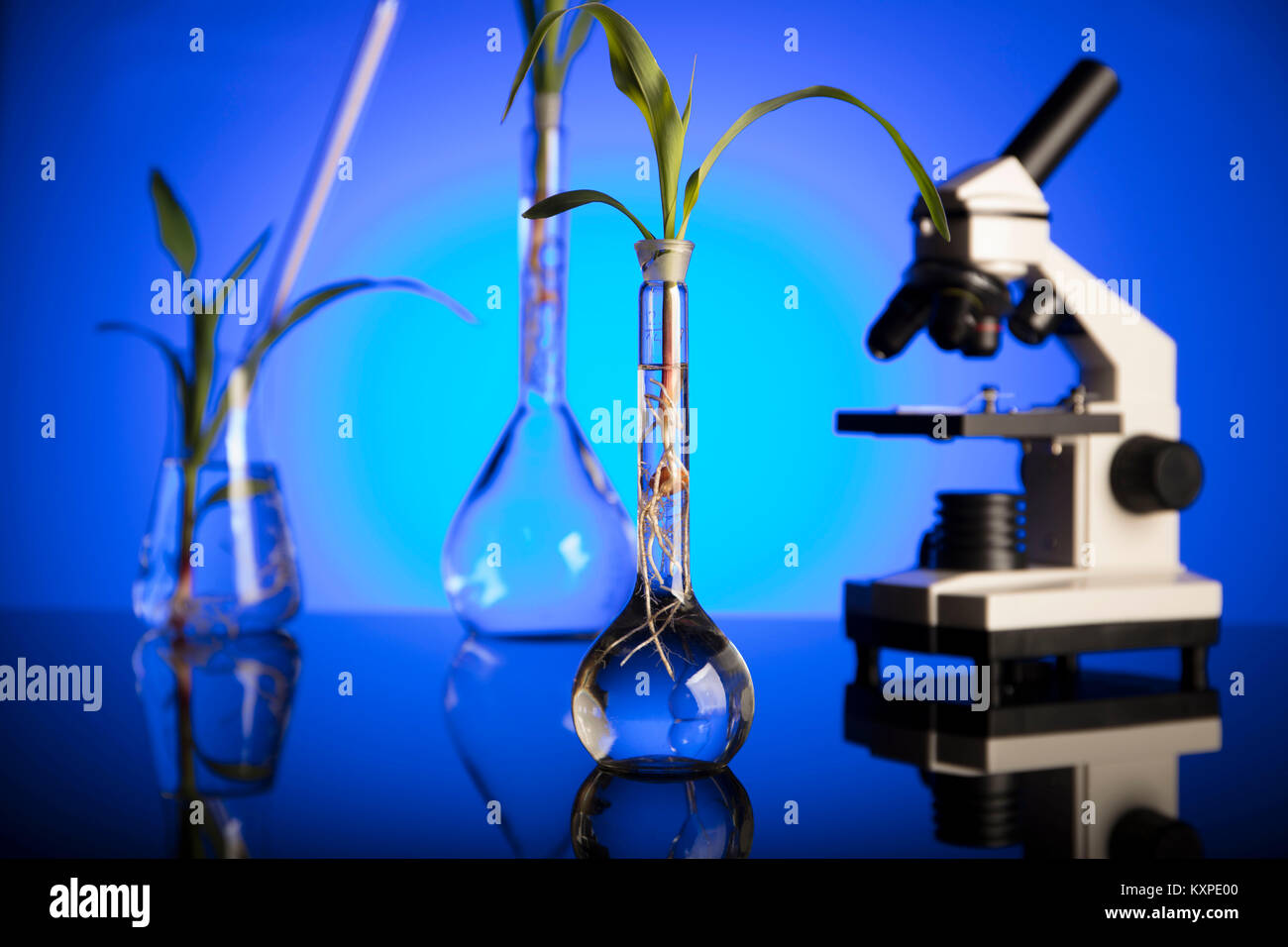 Biotechnology theme. Laboratory concept. Beakers and test-tubes. Blue ...