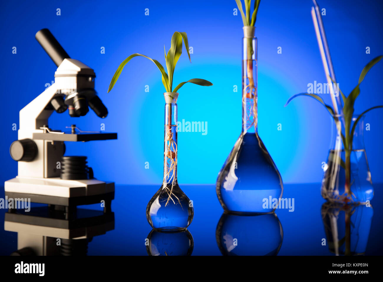 Biotechnology theme. Laboratory concept. Beakers and test-tubes. Blue ...