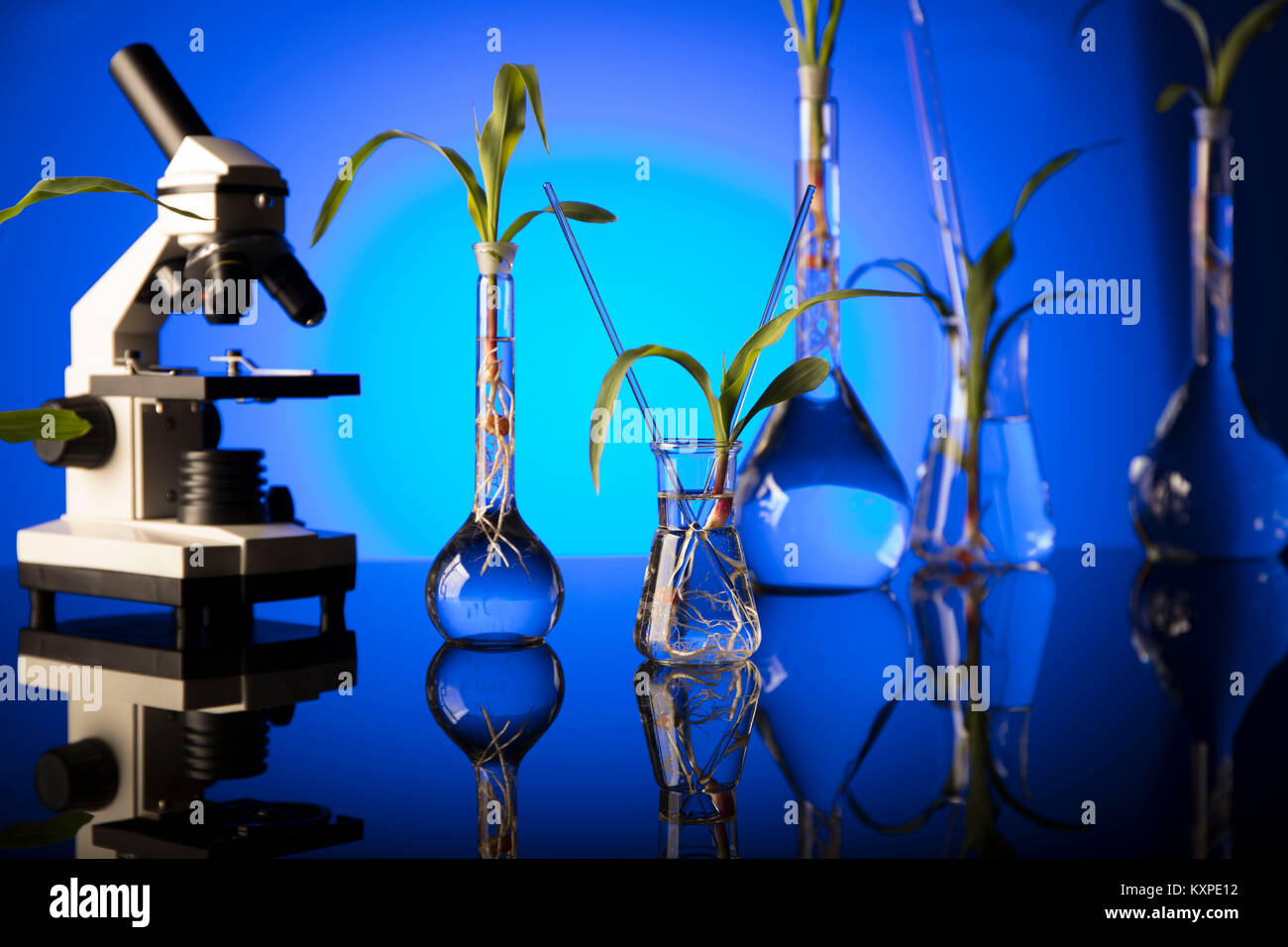 Biotechnology theme. Laboratory concept. Beakers and test-tubes. Blue ...