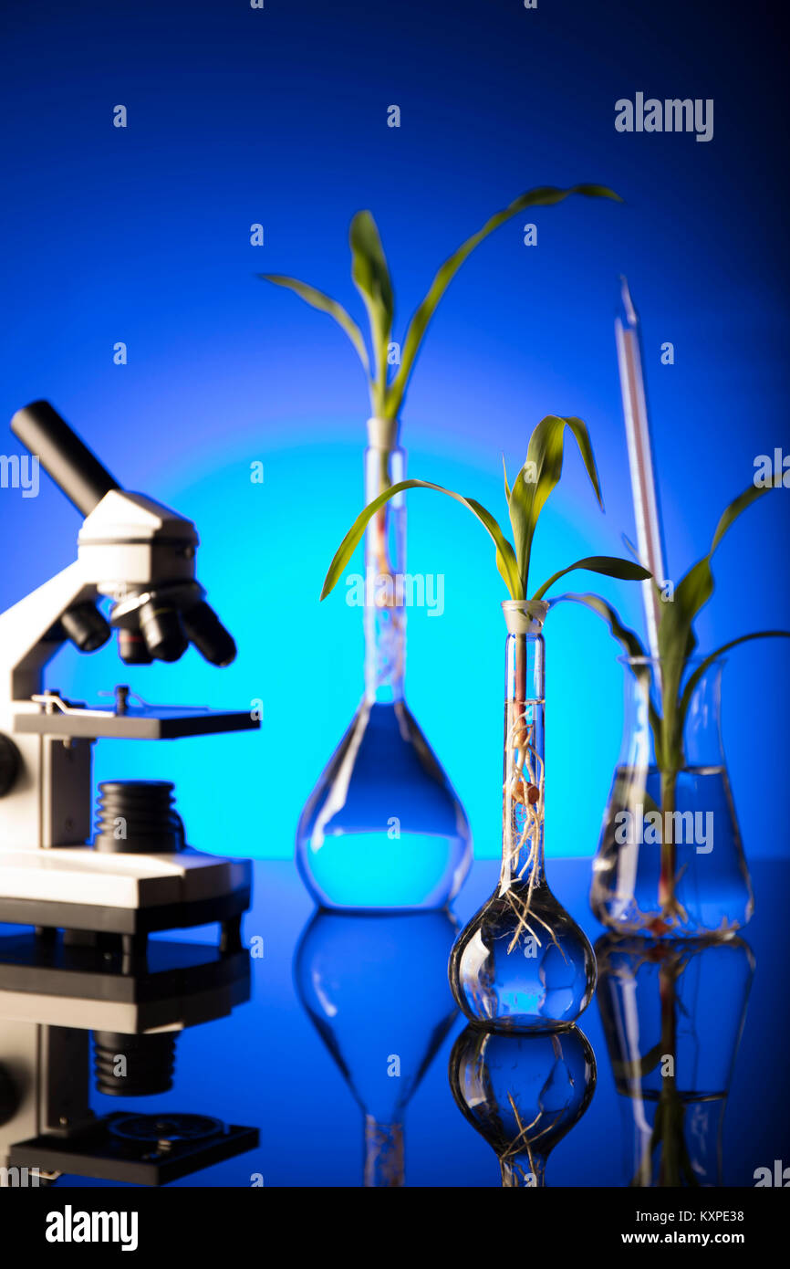 Biotechnology theme. Laboratory concept. Beakers and test-tubes. Blue ...