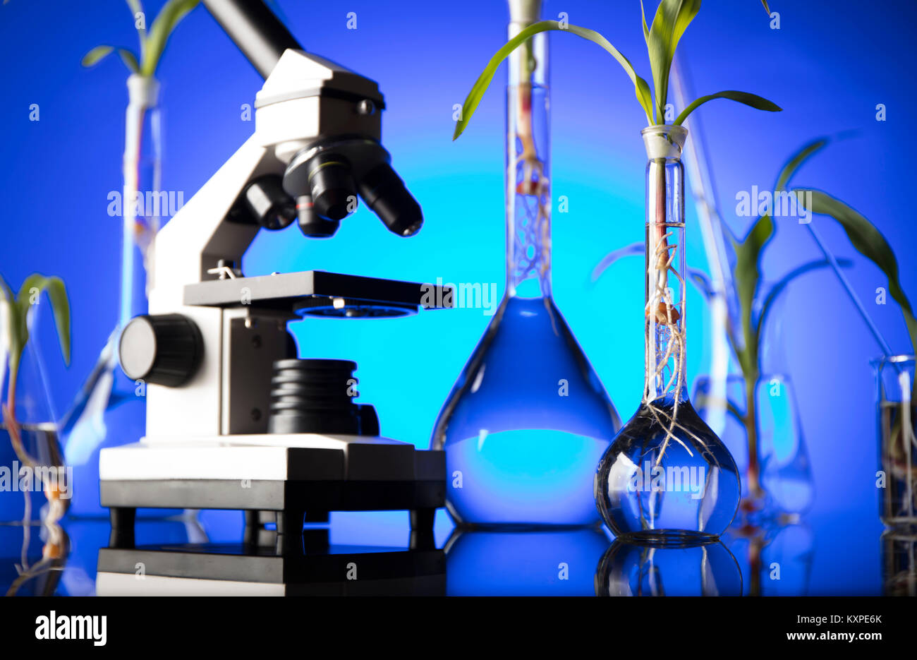 Biotechnology theme. Laboratory concept. Beakers and test-tubes. Blue ...