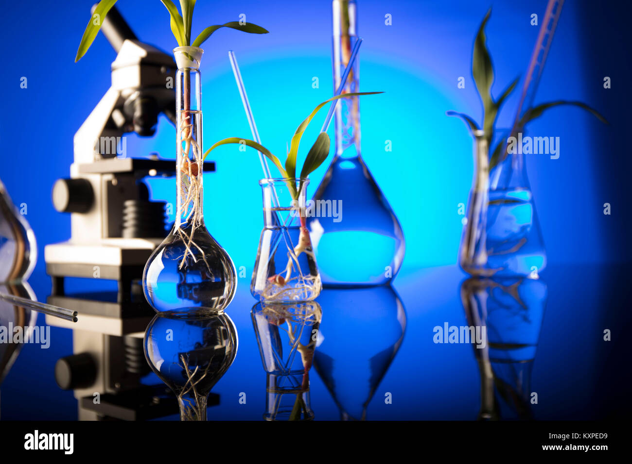 Biotechnology theme. Laboratory concept. Beakers and test-tubes. Blue ...
