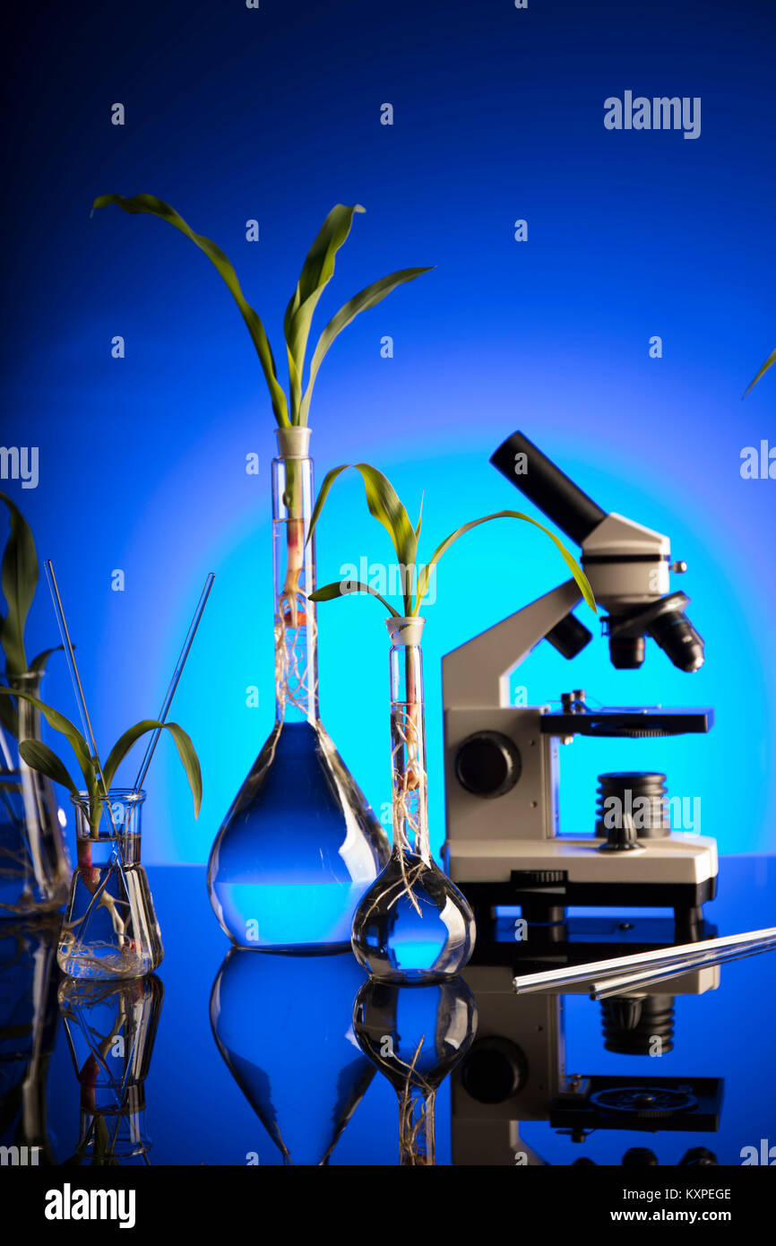 Biotechnology theme. Laboratory concept. Beakers and test-tubes. Blue ...
